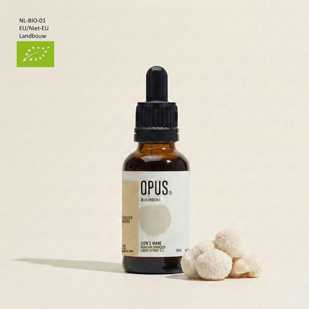 BIO Lion's Mane (ORGANIC) – Opus Mushrooms